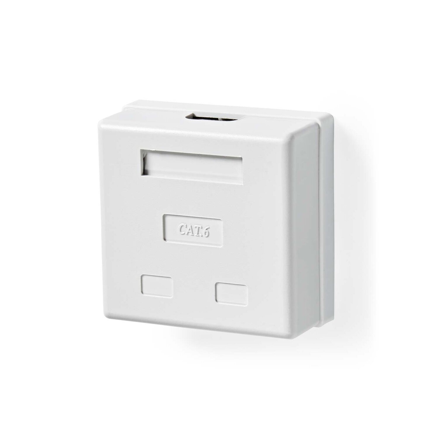 Aufputz Netzwerk-Wanddose Dose CAT6 CAT 6 STP Ethernet Gigabit Intern ...