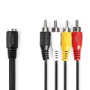 DIN-Audio-Kabel | DIN 5-Pin Buchse | 4x RCA Stecker Cinch Chinch Adap ...